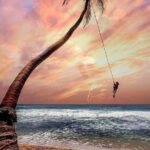 Beach Holiday (5N/6D) - Transportation & Logistics: What Travelers Should Know