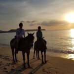 Beach Horse Riding At Sunset In Phuket - What to Expect from the Tour
