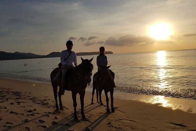 Beach Horse Riding At Sunset In Phuket - What to Expect from the Tour