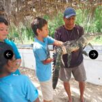 .Beach Horse Riding Turtle Release Crocodile Farm Experience - Horseback Riding Along the Beach
