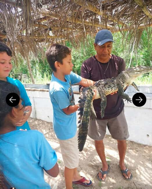 .Beach Horse Riding Turtle Release Crocodile Farm Experience - Horseback Riding Along the Beach