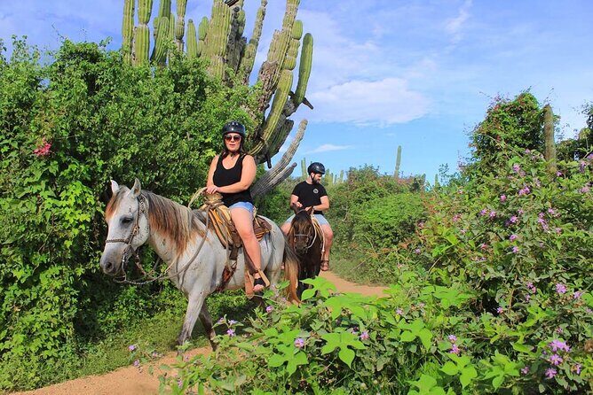 Beach Horseback Riding in Los Cabos - The Cost: Is It Worth It?