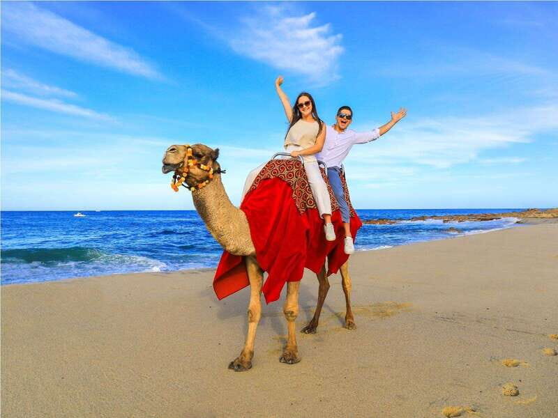 Beach UTV & Camel Ride COMBO in Cabo by Cactus Tours Park - Why You’ll Love This Tour