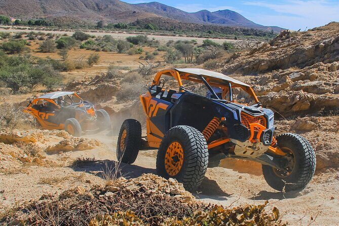 Beach UTV & Camel Ride COMBO in Cabo by Cactus Tours Park - Authentic Insights from Reviews and Experience