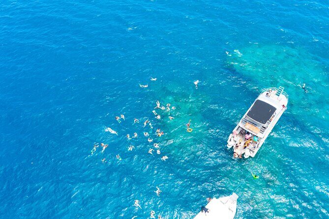 Beachcomber Island Escape - A Perfect Day in Paradise - Who Is This Tour Best For?