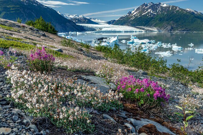 Bear Glacier Helicopter Tour with Landing - Authentic Traveler Feedback