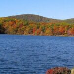 Bear Mountain & Beacon Town 1-Day Tour | Kids 50% Off - What Travelers Say & Why You Might Love This Tour