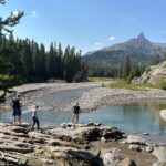 Beartooth Highway Small Group Tour with Wildlife Guide - What the Tour Includes and Why It Matters