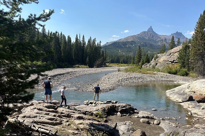 Beartooth Highway Small Group Tour with Wildlife Guide - What the Tour Includes and Why It Matters