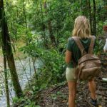 Beautiful Daintree Waterfall Walk, Magical Swim & Heavenly Lunch - Logistics, Pricing, and Overall Value