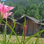Beautiful Swiss Camping Experience in Rishikesh with Rafting - The Scenic Drive to Adventure