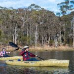 Bega River Kayaking Tour - Exploring the Bega River Kayaking Experience in Detail