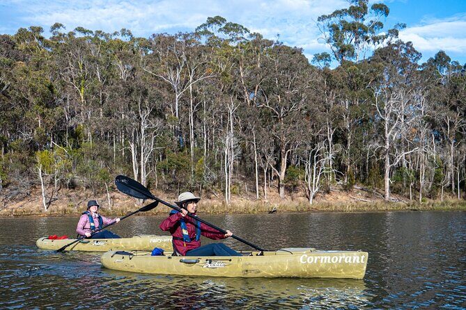 Bega River Kayaking Tour - Exploring the Bega River Kayaking Experience in Detail