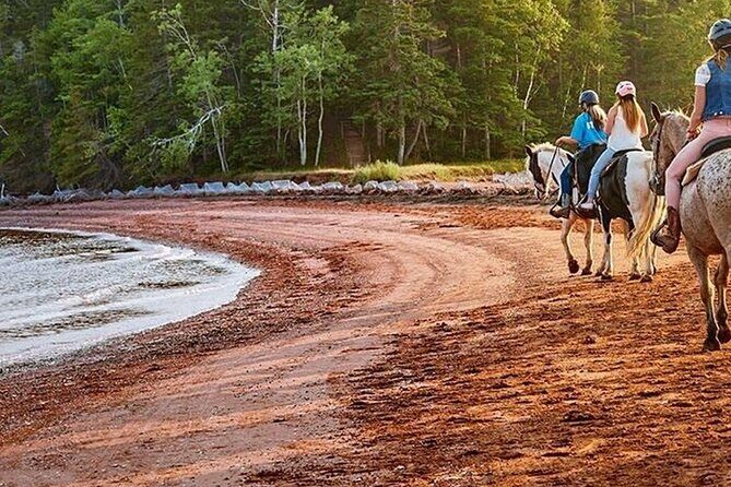 Beginner Brudenell Beach Trail Ride - An In-Depth Look at the Experience