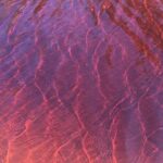 Behind The Bay - Explore Like a Local: Waterfalls/paddleboarding - What to Expect on the Day