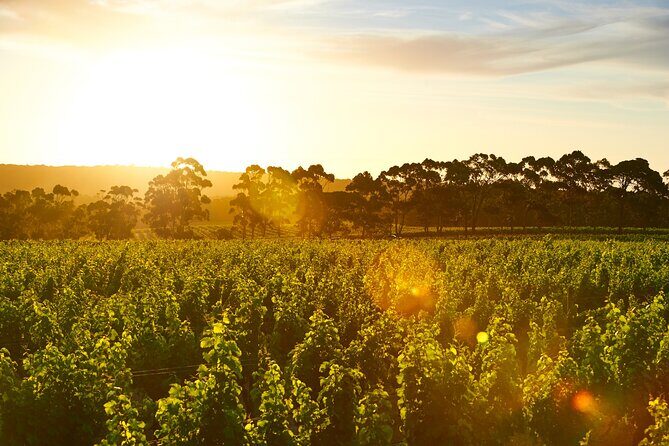 Behind The Scenes Tour with Food & Wine Pairing - What Youll See and Do