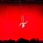 Beijing Acrobatic Show at Regal Palace Theatre (Qin Le Gong - What’s Included and What’s Not