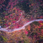 Beijing: Badaling Great Wall Tour with Guide & Transport - Practical Aspects of the Tour
