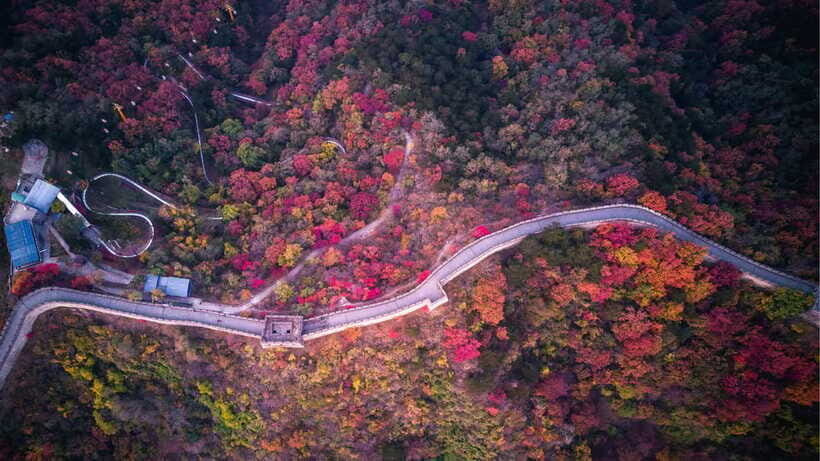 Beijing: Badaling Great Wall Tour with Guide & Transport - Practical Aspects of the Tour