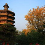 Beijing Buddhism Attractions Feature Day TourWith Options - What You Can Expect: A Walk Through History and Serenity