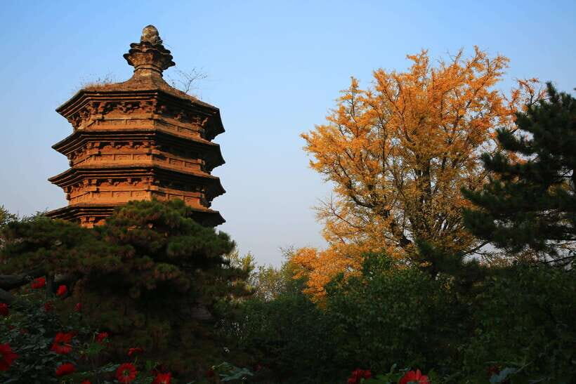 Beijing Buddhism Attractions Feature Day TourWith Options - What You Can Expect: A Walk Through History and Serenity