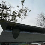 Beijing: Capital Museum tour includes Ticket - Who Should Consider This Tour?