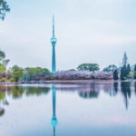 Beijing: Central Radio & TV Tower Observation Deck Ticket - The Experience in Detail