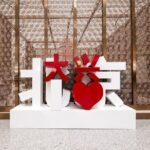 Beijing Daxing Airport to Tianjin Cruise Port by Private Transfer - The Experience at the Airport