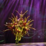 Beijing Evening Acrobat Show In Red Theater With Private Transfer - What to Expect