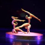 Beijing Evening Tour: Chaoyang Acrobatic Show with Peking Duck Dinner - Some Considerations