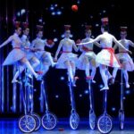 Beijing Evening Tour Of Acrobatics Show With Private Transfer - Key Points