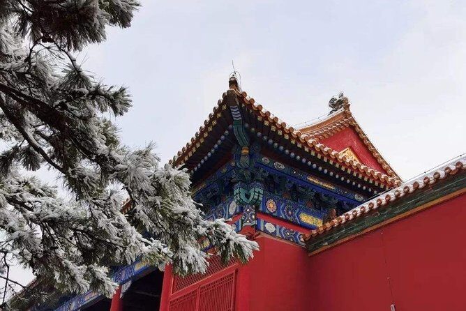 Beijing Layover Tour: Forbidden City, Temple of Heaven and Summer Palace - Practical Details & Tips