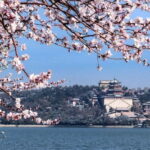 Beijing: Mutianyu GreatWall and Summer Palace Guided Tour - In-Depth Look at the Itinerary