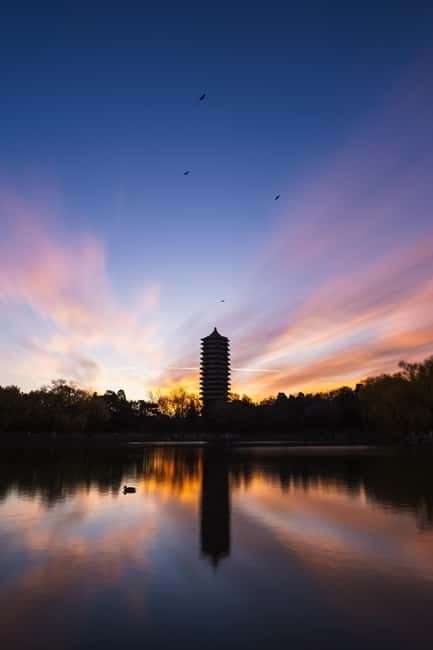 Beijing: Peking University Campus Guided Walking Tour - Who Will Love This Tour?