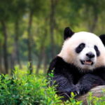 Beijing Private City Tour by Subway with Various Options - How the Tour Works: A Closer Look