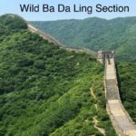 Beijing Private Great Wall Day Tour - Who Will Love This Tour?