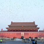 Beijing Private Tour of Forbidden City Summer Palace and 798 Art Zone - Who Will Love This Tour?