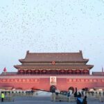 Beijing Private Tour with Forbidden City, Beihai Park, Jingshan & Acrobatic Show - The Sum Up