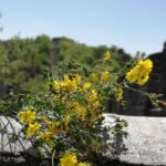 Beijing Private Transfer to Badaling Great Wall - Thorough Overview of the Experience