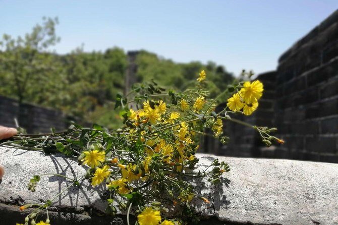 Beijing Private Transfer to Badaling Great Wall - Thorough Overview of the Experience