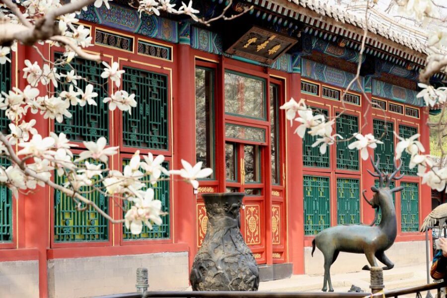 Beijing: Summer Palace Sacred Road & Ming Tombs Private Tour - Transport, Timing, and Group Dynamics