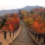 Beijing-Tianjin Xingang Cruise Private Transfer - Final Thoughts: Who Is This Service Best For?