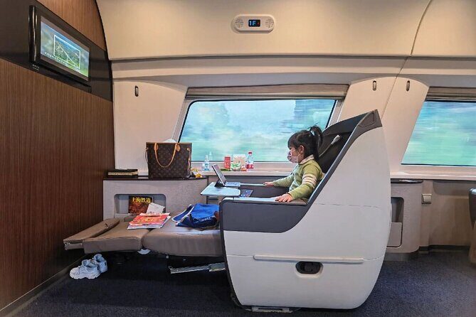 Beijing: to Xi'an Terracotta Day Tour by Roundtrip Bullet Train - Lunch and Flexibility