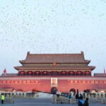 Beijing's Present and Past: Temple of Heaven, Forbidden City and Olympic Park - Transportation and Logistics
