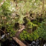 Beng Mealea Temple & Kompong Khleang Floating Village - Transportation and Comfort