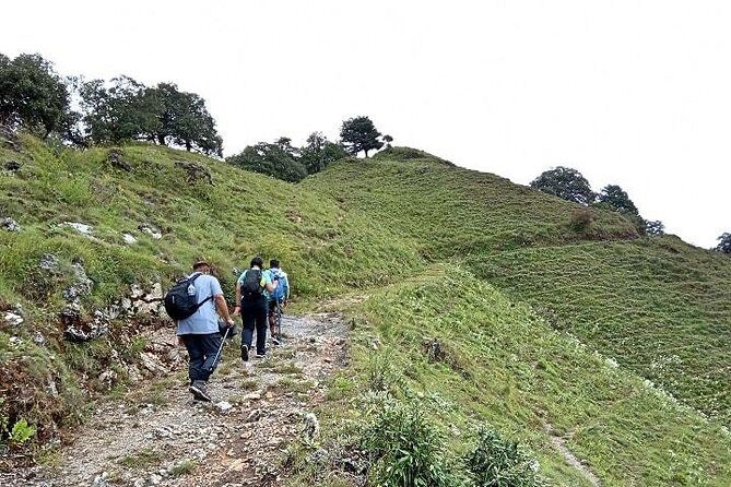 Benog Tibba Nature Trail - The Day’s Itinerary in Detail