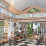 Bentota City Tour from Colombo Seaport - The Practical Aspects of the Tour