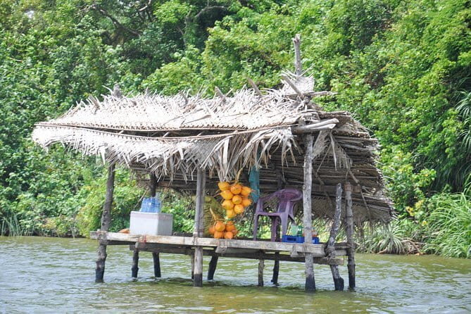 Bentota City Tour from Galle - The Value of This Tour