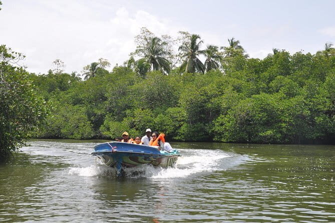 Bentota City Tour from Hikkaduwa - Practical Details That Matter