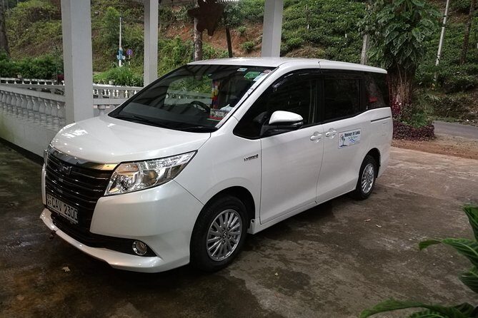 Bentota River Boat Safari with Private Boat Beruwala/Bentota/Kosgoda/Ahungalla - An In-Depth Look at the Tour Experience